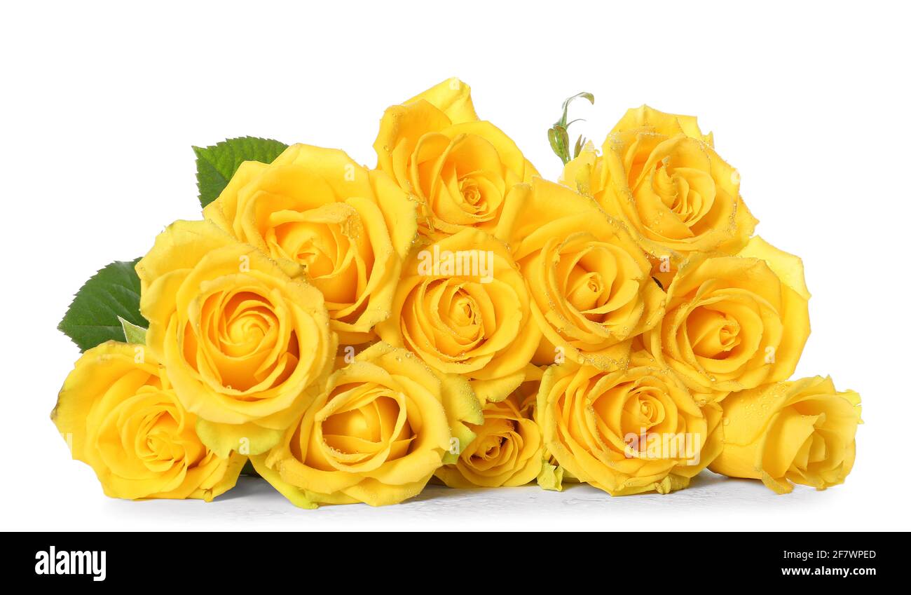 Fresh yellow roses on white background Stock Photo - Alamy