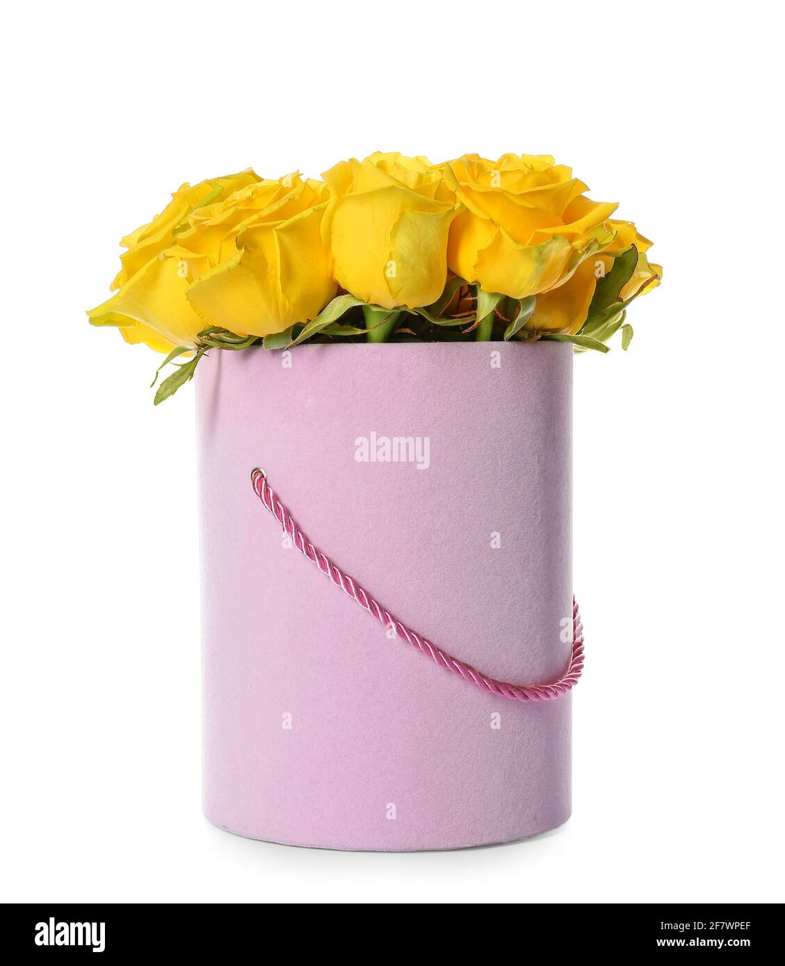 Gift box with fresh yellow roses on white background Stock Photo - Alamy