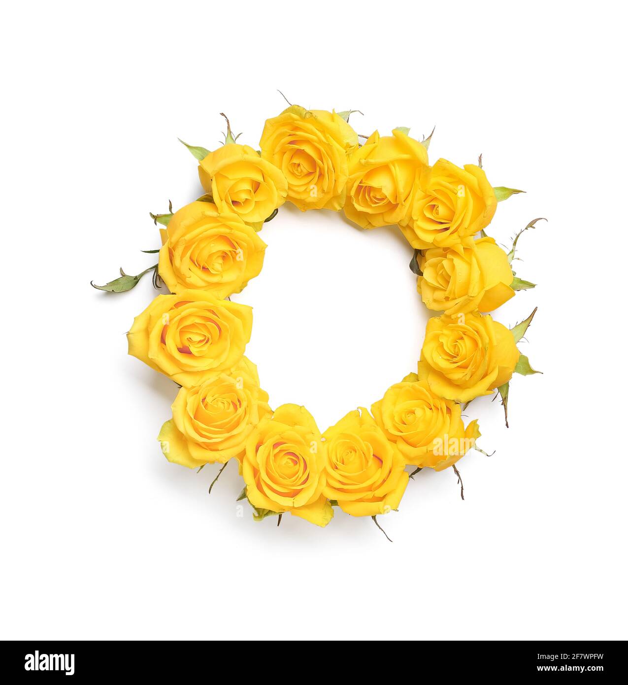Frame made of fresh yellow roses on white background Stock Photo - Alamy