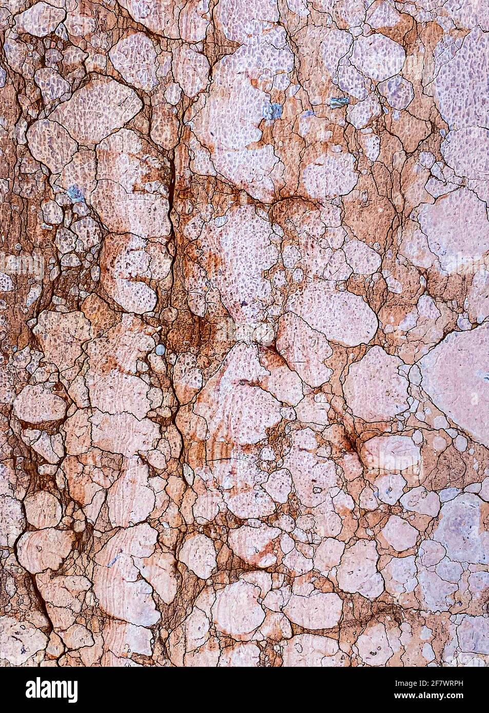 old textured Red Verona marble surface, Venice, Italy Stock Photo - Alamy