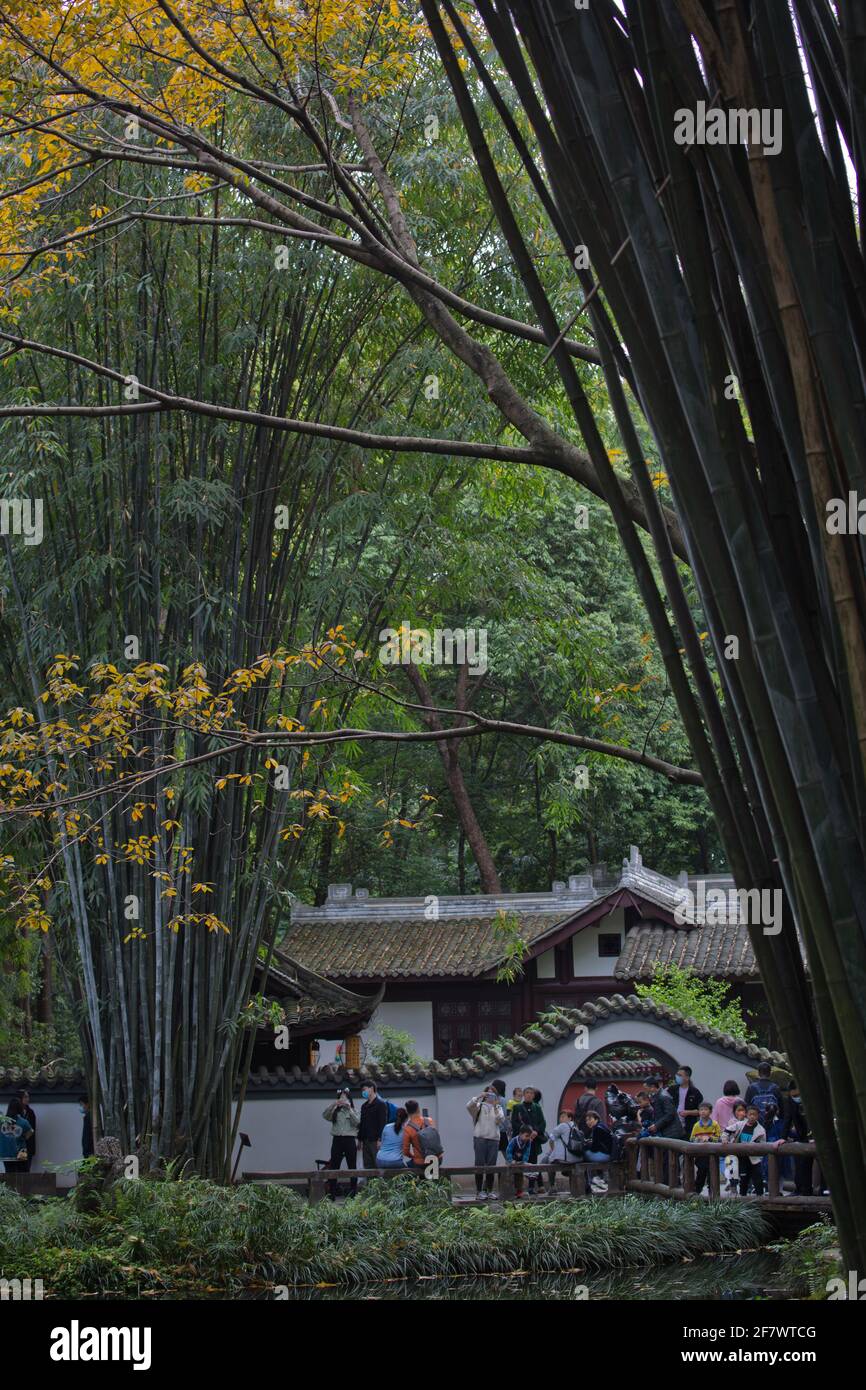 Bamboo and gardens at Du Fu's Thatched Cottage, Chengdu, China Stock ...