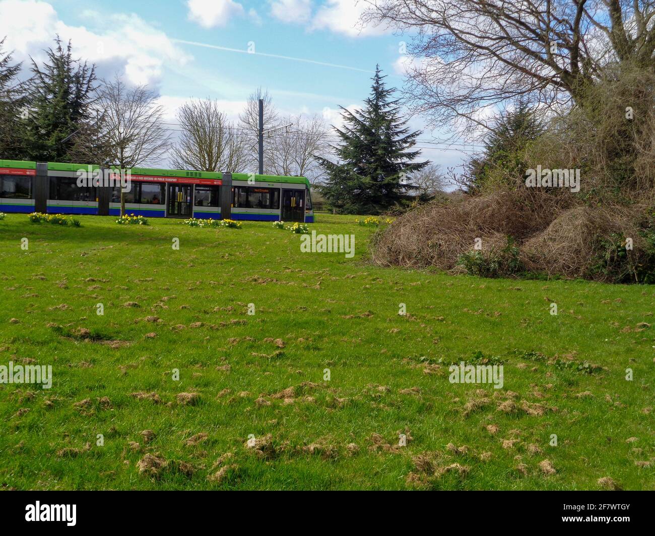 Spring landscape near Croydon with tree in blossom and urban green ...