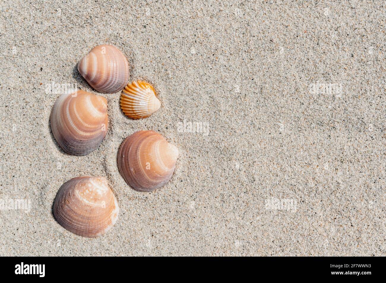 Pure tropics hi-res stock photography and images - Alamy