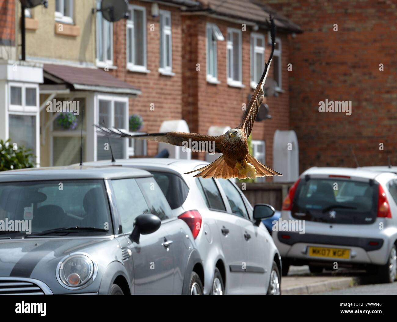 Flying a kite in the street hi-res stock photography and images - Alamy
