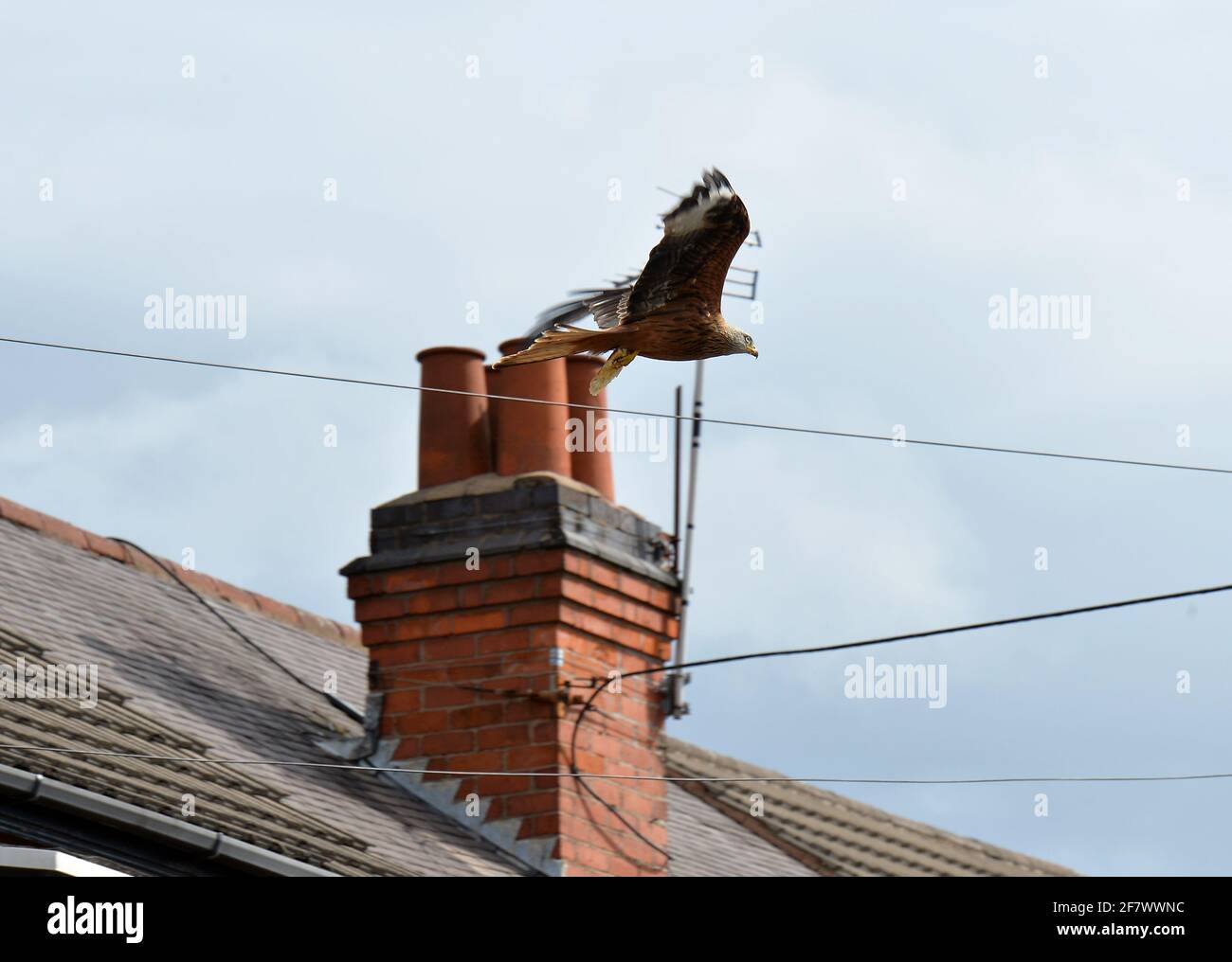 Flying a kite in the street hi-res stock photography and images - Alamy