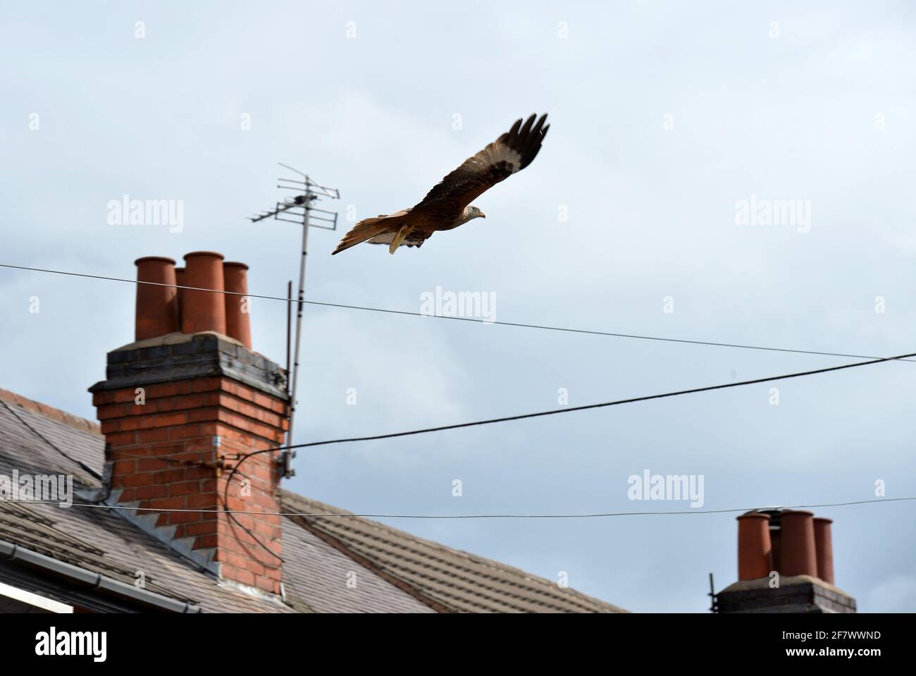 Flying a kite in the street uk hi-res stock photography and images - Alamy