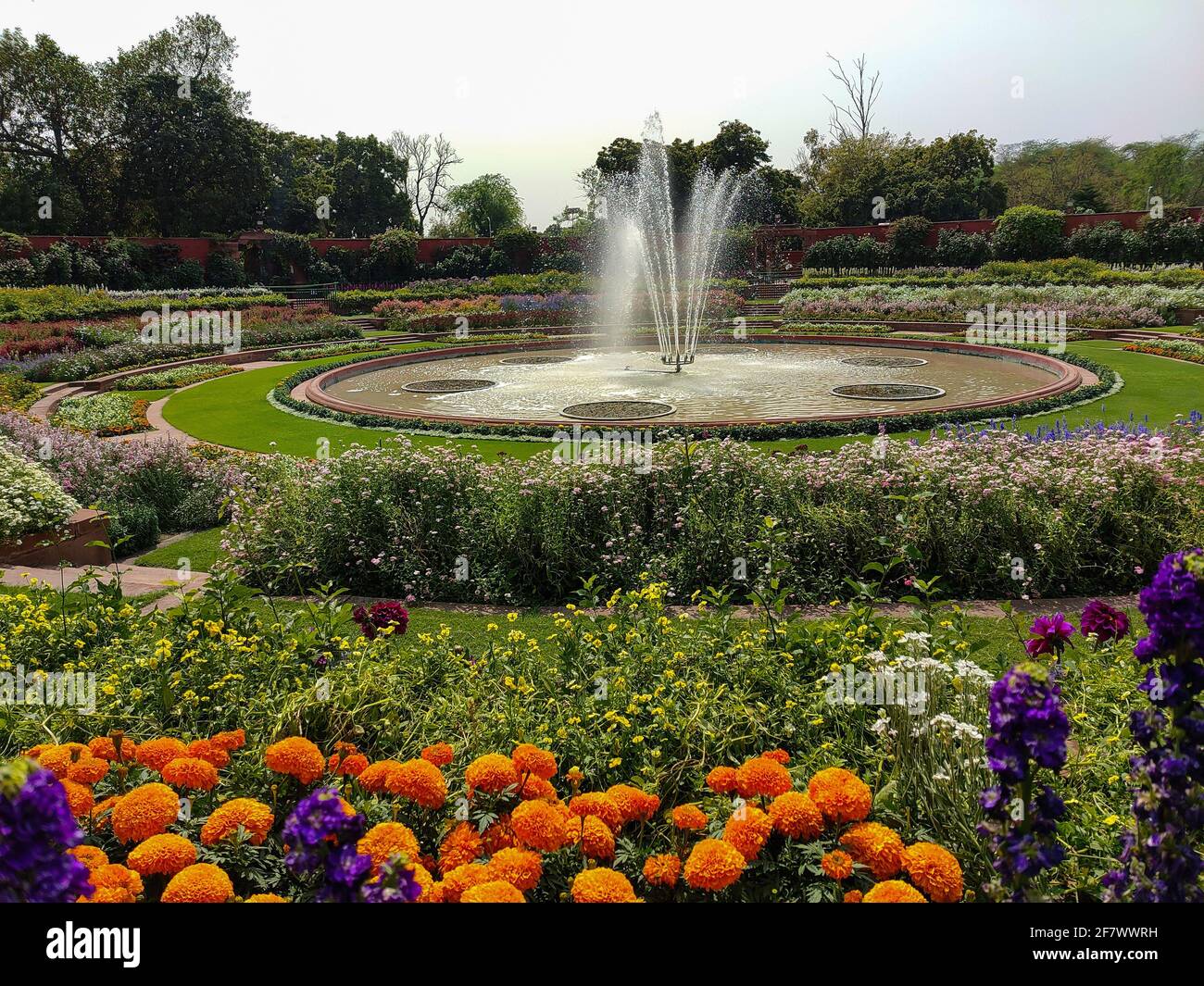 Beautiful Flower Garden With Fountain