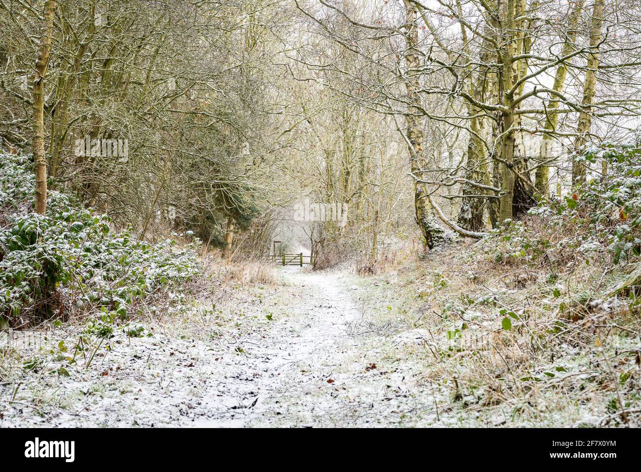 Footpath scottish borders hi-res stock photography and images - Alamy
