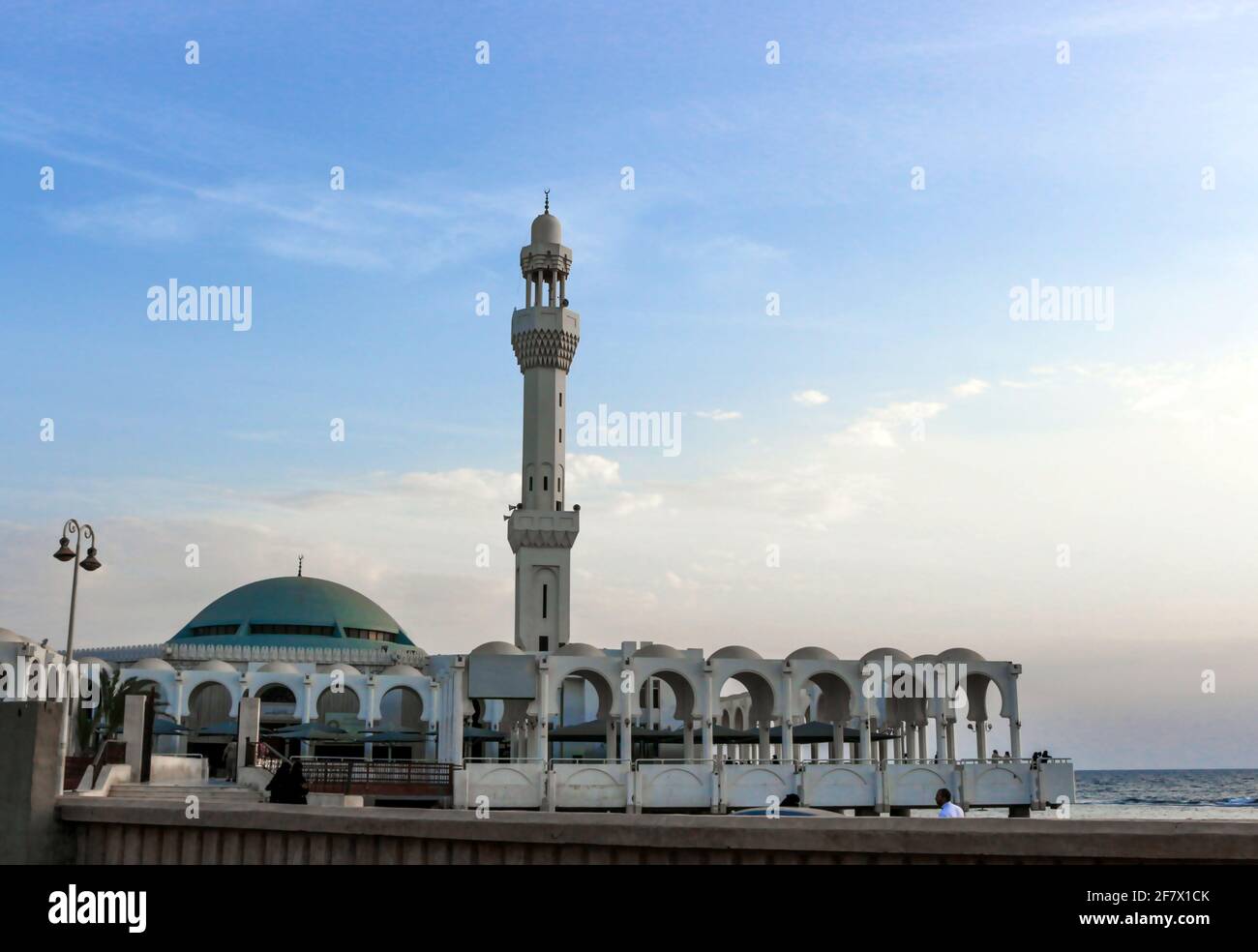 Al anani hi-res stock photography and images - Alamy