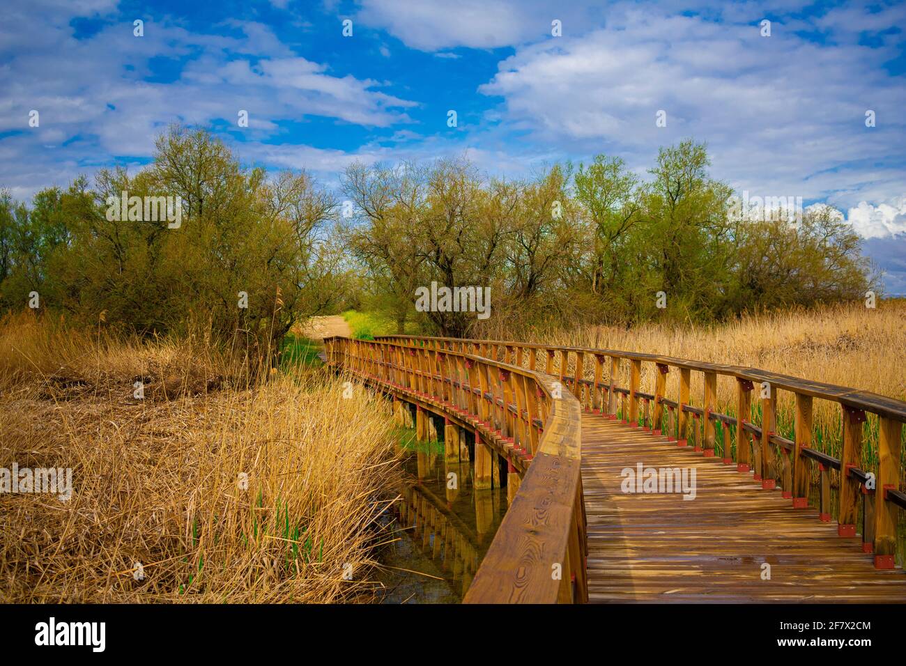 Horizontal shot of a wooden walkway bridge with railing and dry grass ...