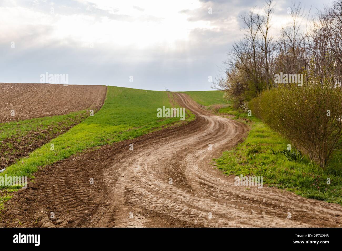 Beautiful adventurous winding road in the fields in spring for ...