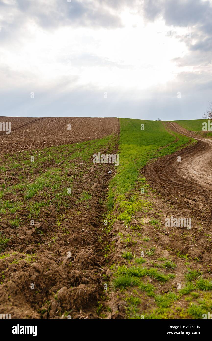 Vertical shot of a beautiful adventurous winding road in the fields in ...