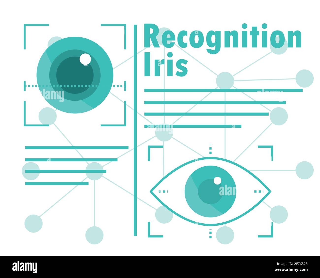 biometric identity recognition iris banner Stock Vector Image & Art - Alamy