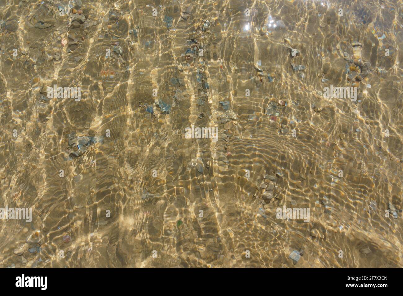 sandy bottom in the crystal clear sea water. Background. The concept of ...
