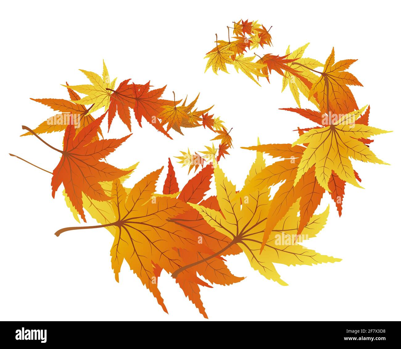 Autumn Frame With Falling Maple Leaves on White Background. Elegant ...
