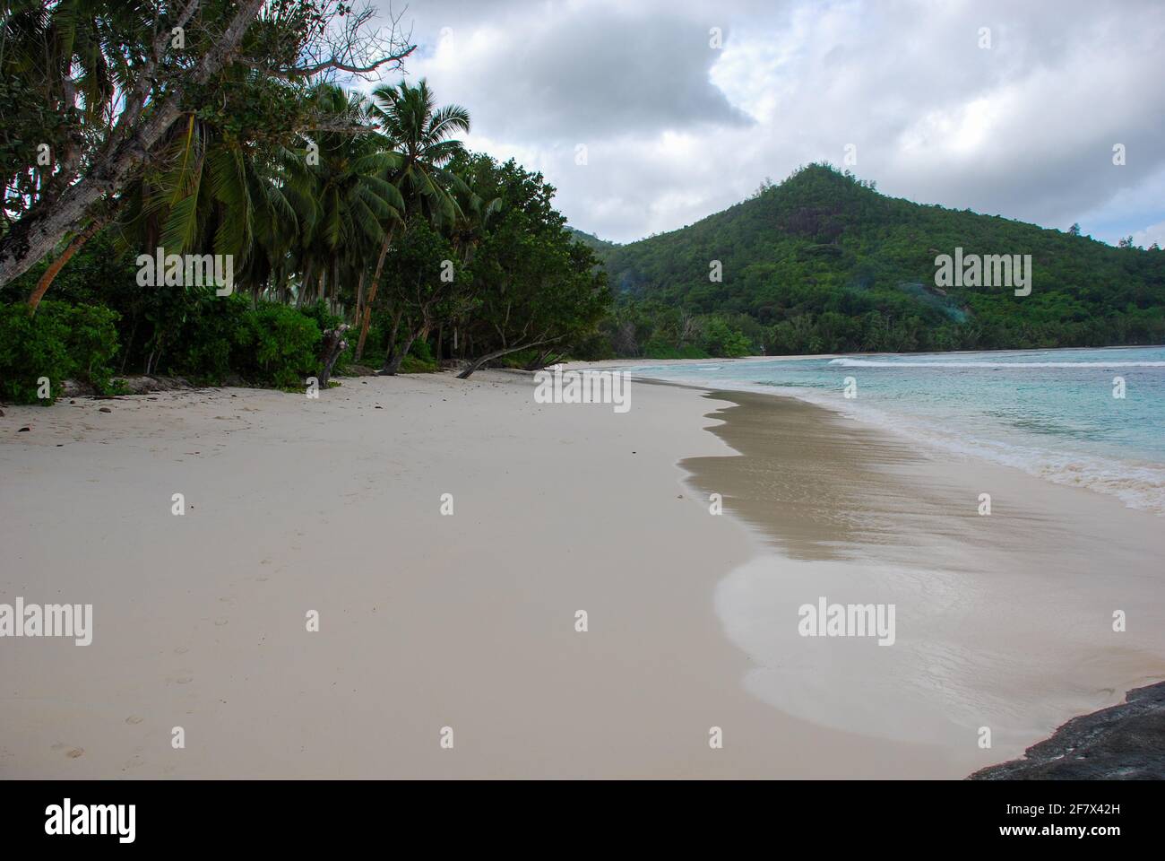 Closeup shot of a sandy beach with green trees on the background Stock ...