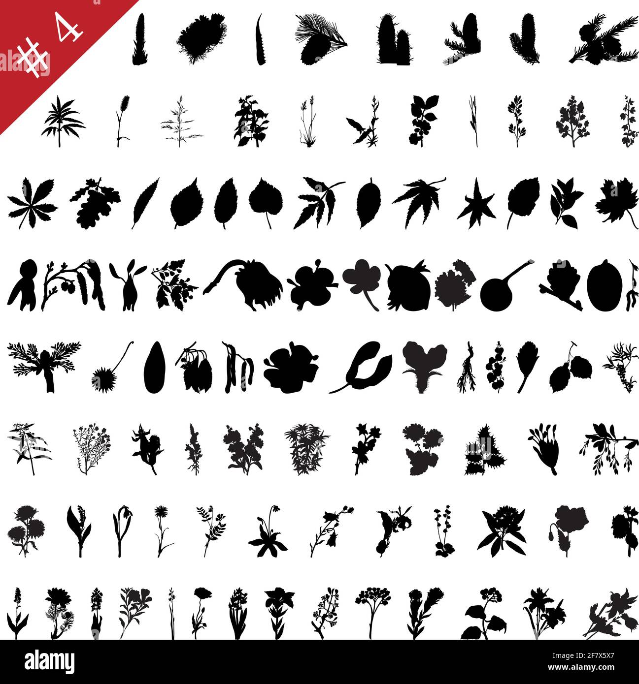 Vector collection of different plants and flowers silhouettes #4 Stock ...