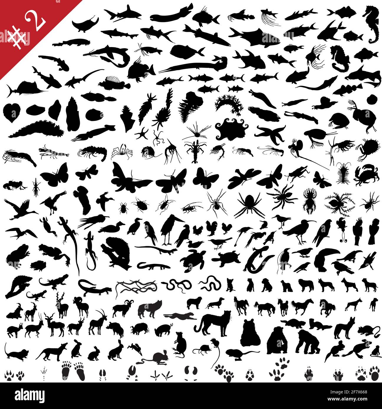 # 2 set of different animals, birds, insects and fishes vector ...