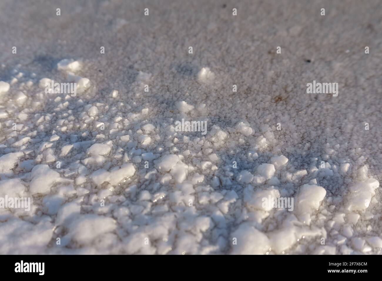 Crystal salt beach on dead sea coast hi-res stock photography and ...