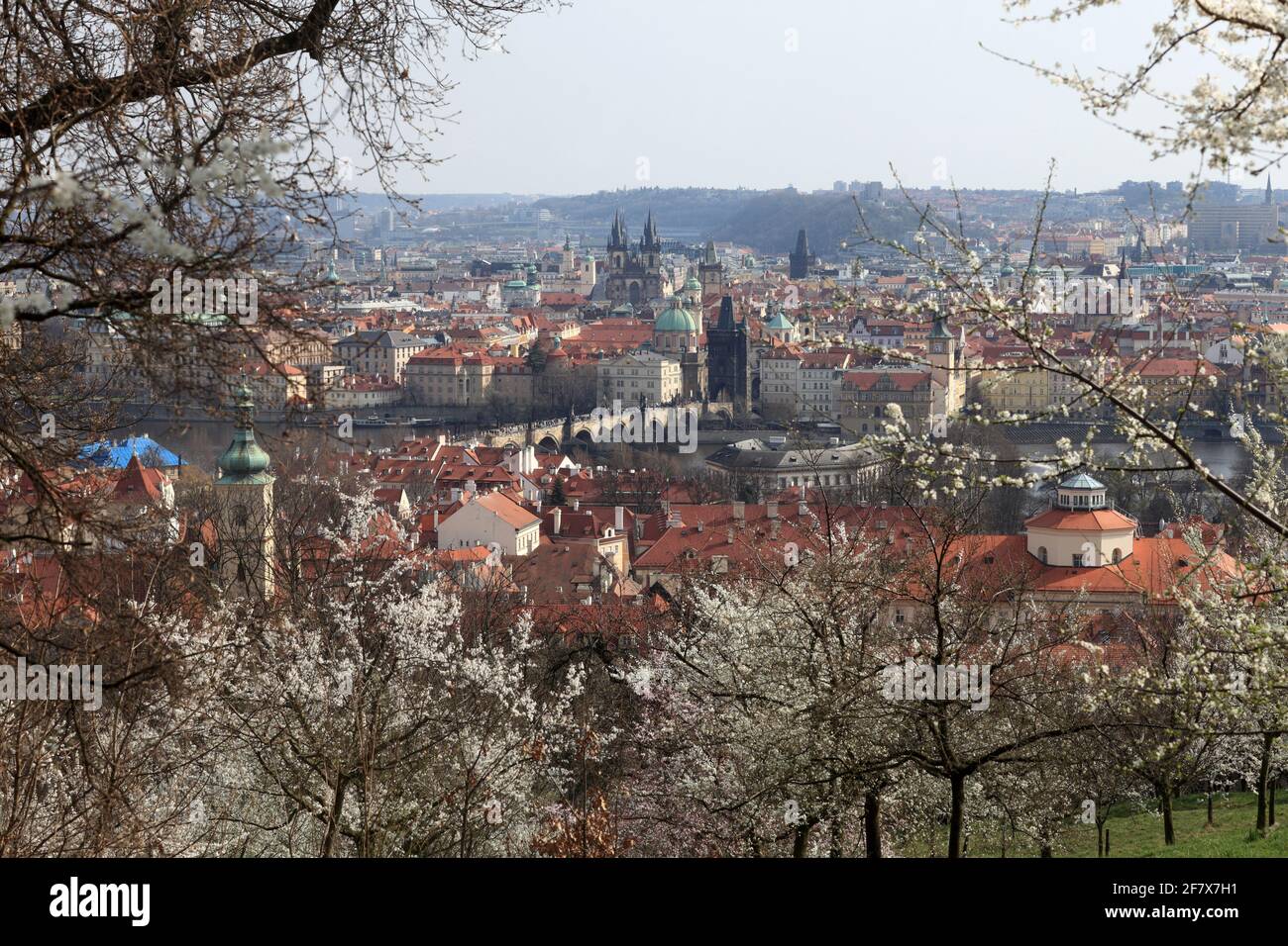Prague skyline from Petrin hill in spring Stock Photo - Alamy
