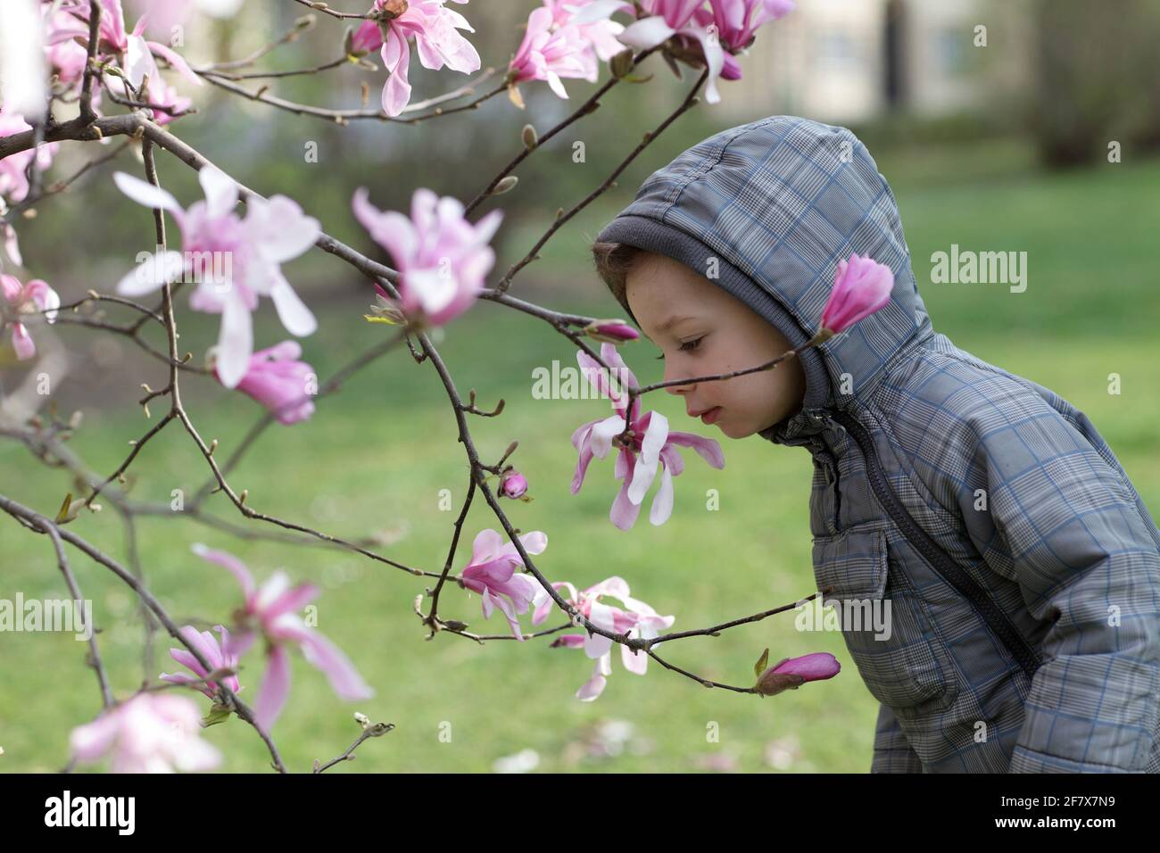 Child smelling flower hi-res stock photography and images - Alamy
