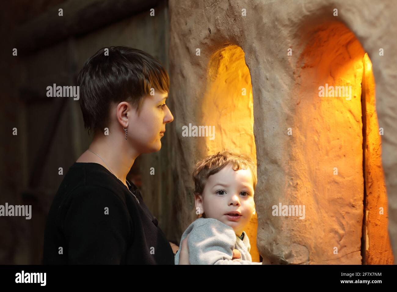 Mother and her son watching the insect at terrarium Stock Photo - Alamy
