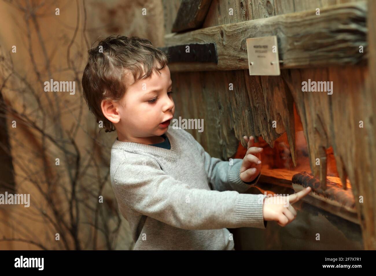 Child watching the insect in terrarium at zoo Stock Photo - Alamy
