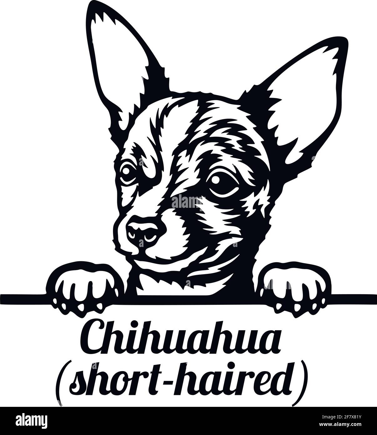 Chihuahua funny friend Stock Vector Images - Alamy