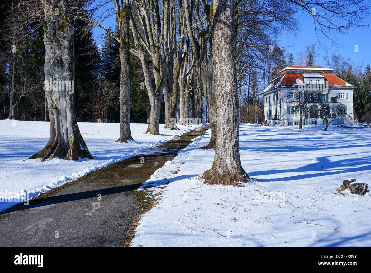 Thomas Mann Writer High Resolution Stock Photography and Images - Alamy