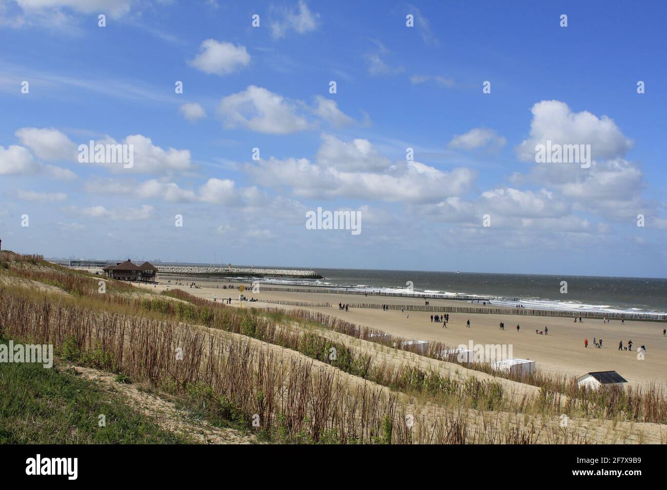 beautiful sea landscape at the dutch coast in cadzand with broad sand ...