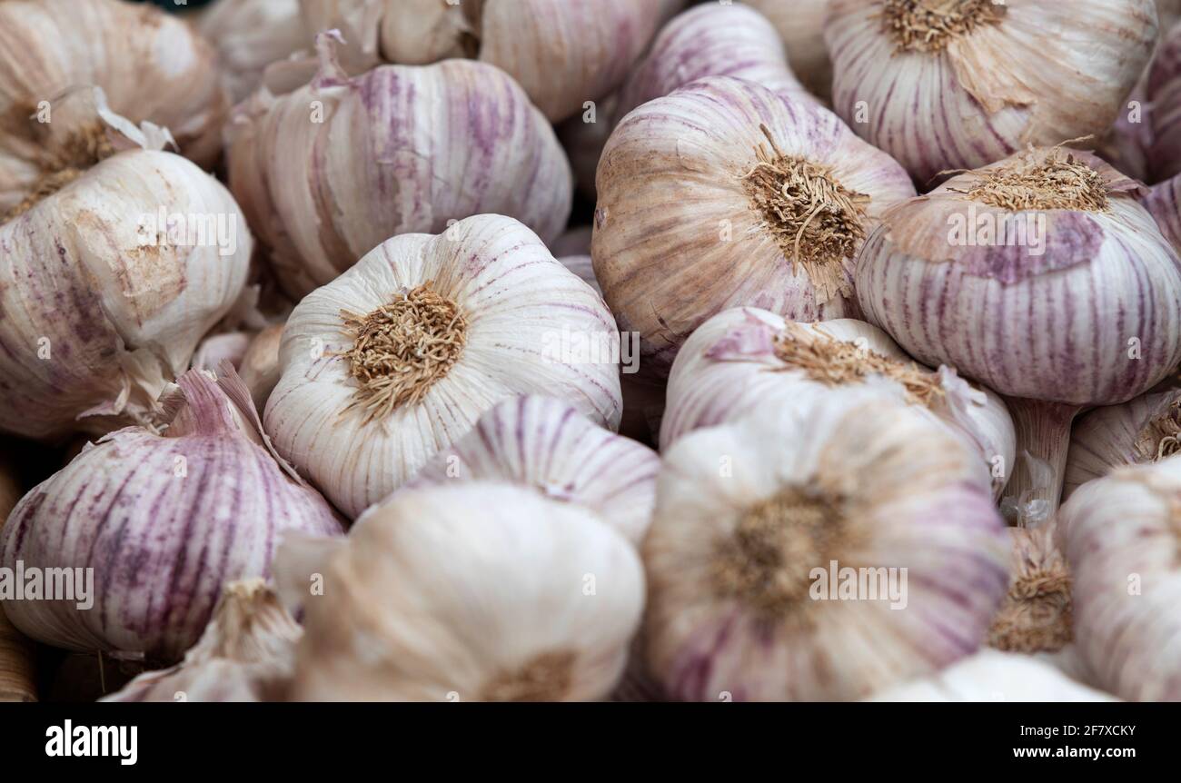 unpeeled garlic pile display stand Stock Photo - Alamy