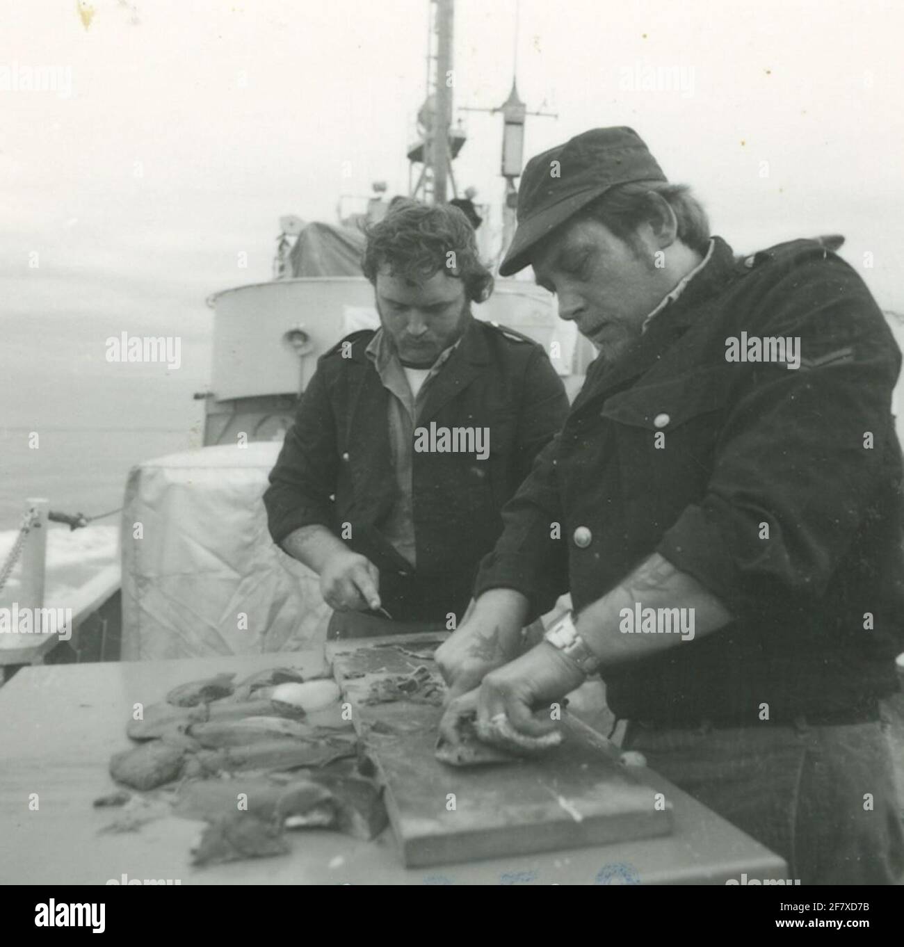 Wolf class (better known as predator class) Frigate Hr.Ms. Jaguar (1954 ...