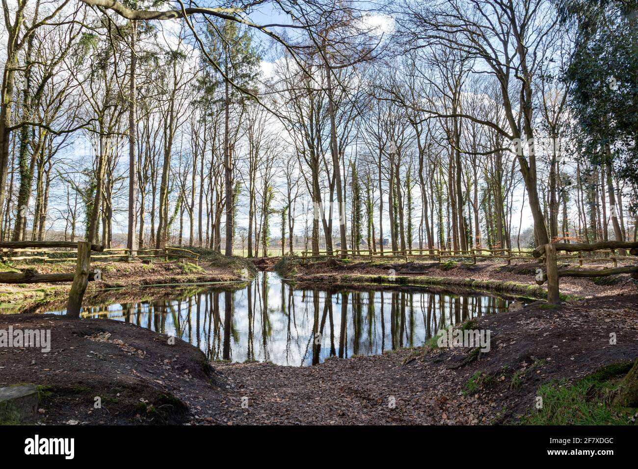 Scene at round pond in hi-res stock photography and images - Alamy