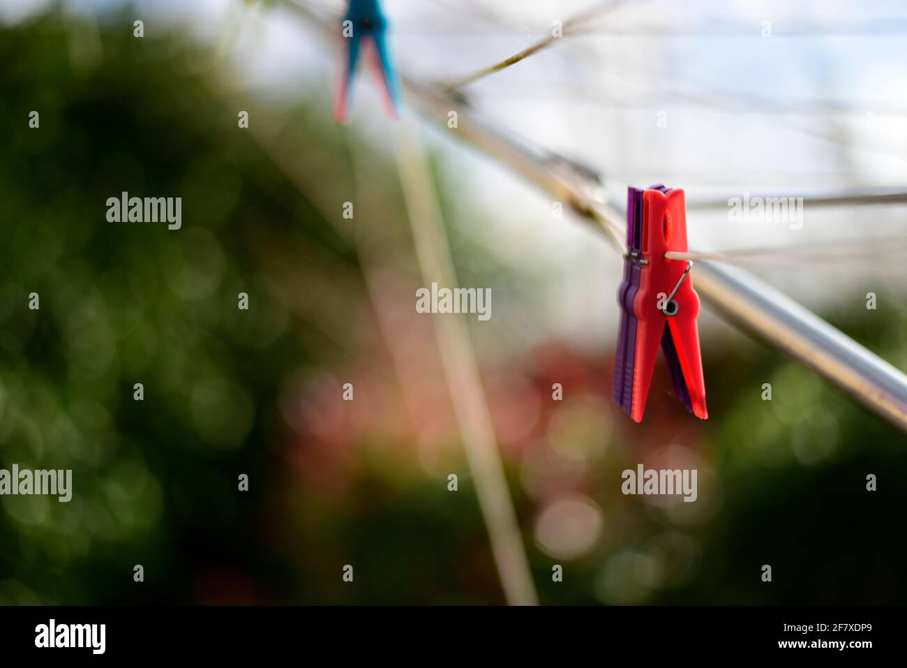 Red Peg on a washing line Stock Photo - Alamy