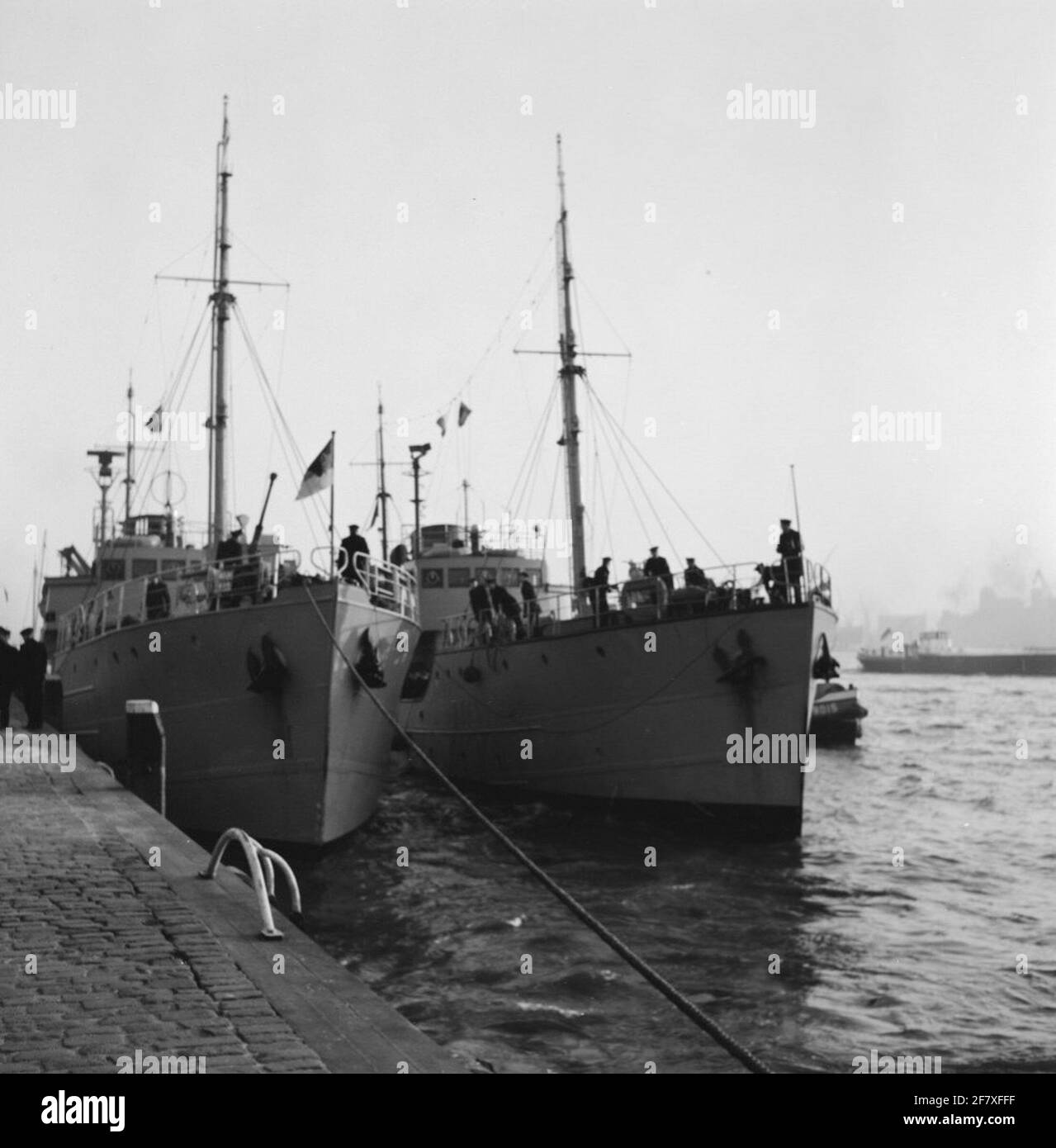 Eider trave hi-res stock photography and images - Alamy