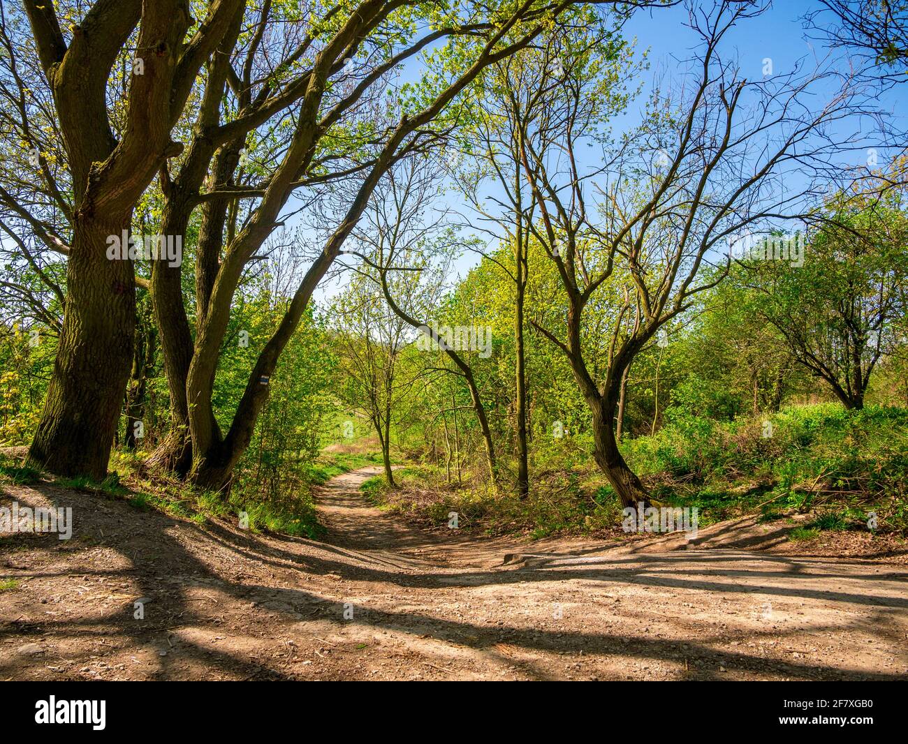 Footpath with a tourist sign on tree leading downhill through trees and ...