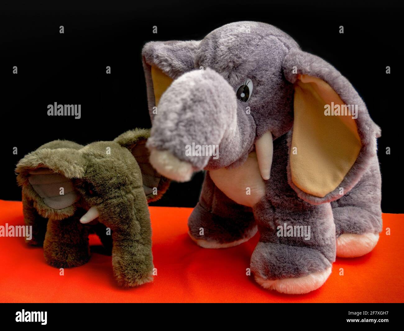 Fluffy toy elephants hi-res stock photography and images - Alamy