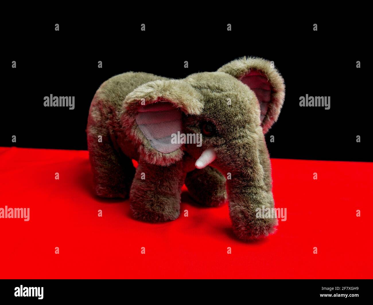 Small plush elephant - children's toy Stock Photo - Alamy
