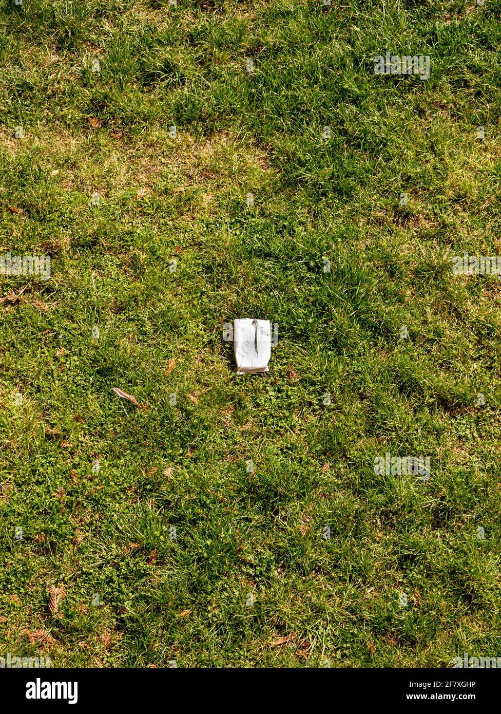 Paper bag garden hi-res stock photography and images - Alamy