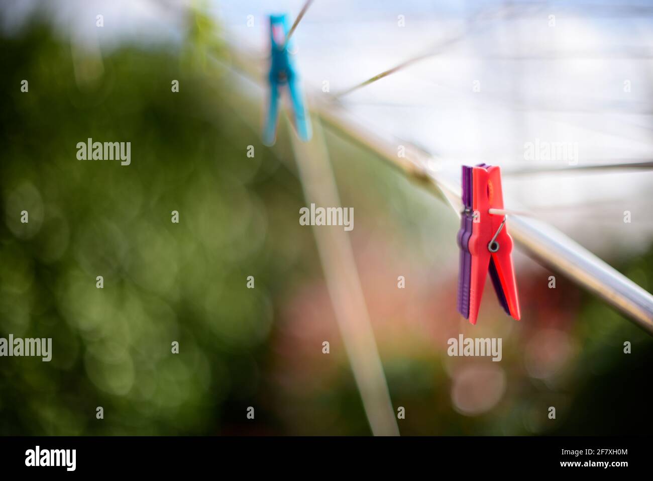 Clothes Peg on a washing line, blurred background Stock Photo - Alamy