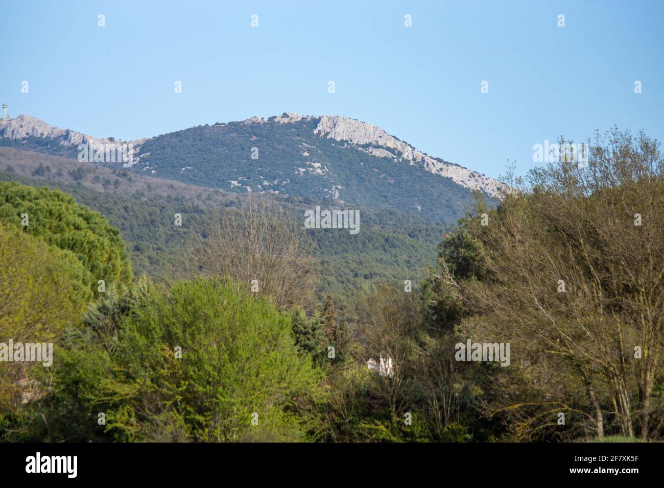 Glorious scenery of a green hill behind beautiful trees Stock Photo - Alamy