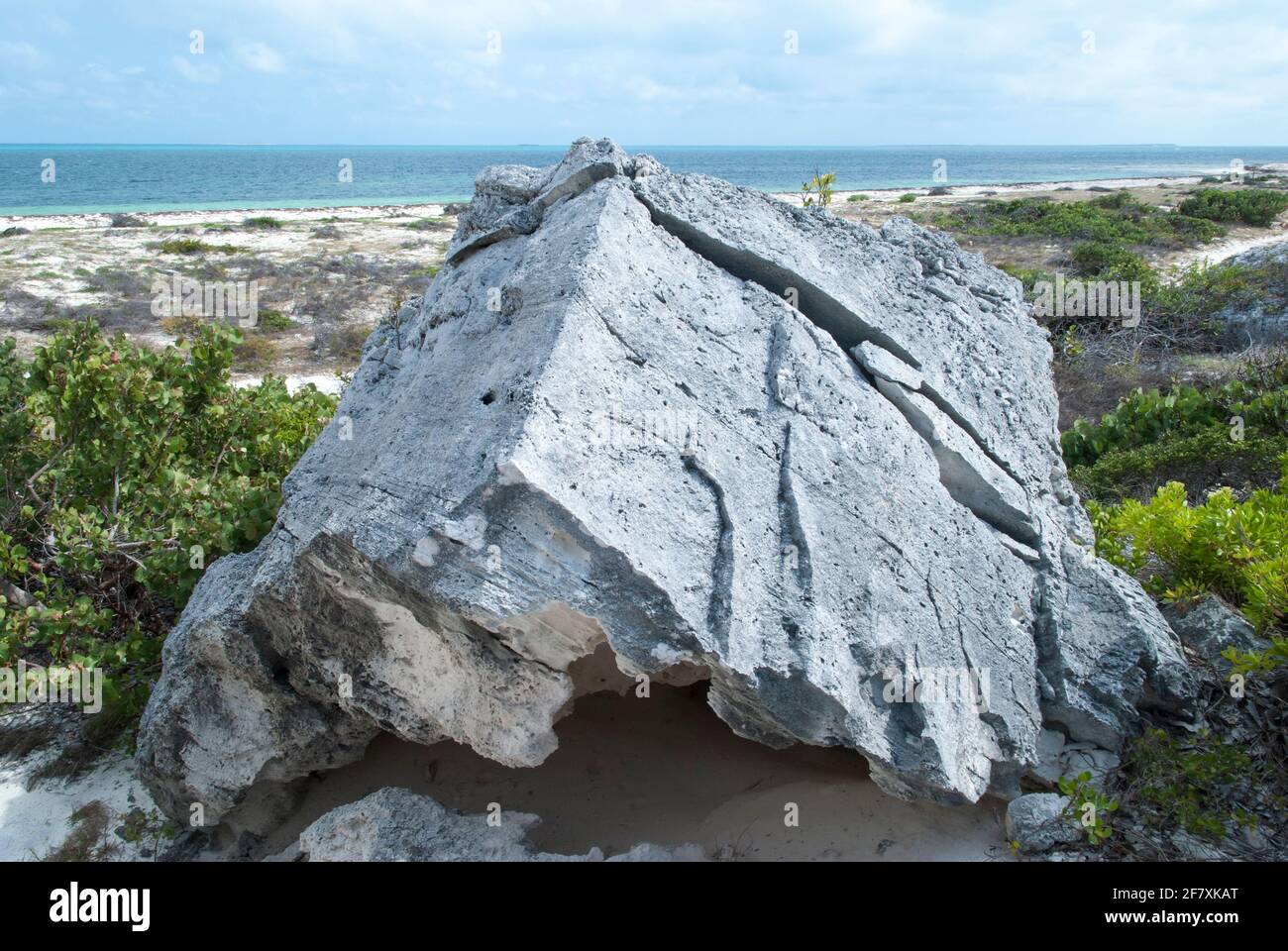 The piece of rock with kind of artificial symmetry laying on Grand Turk ...
