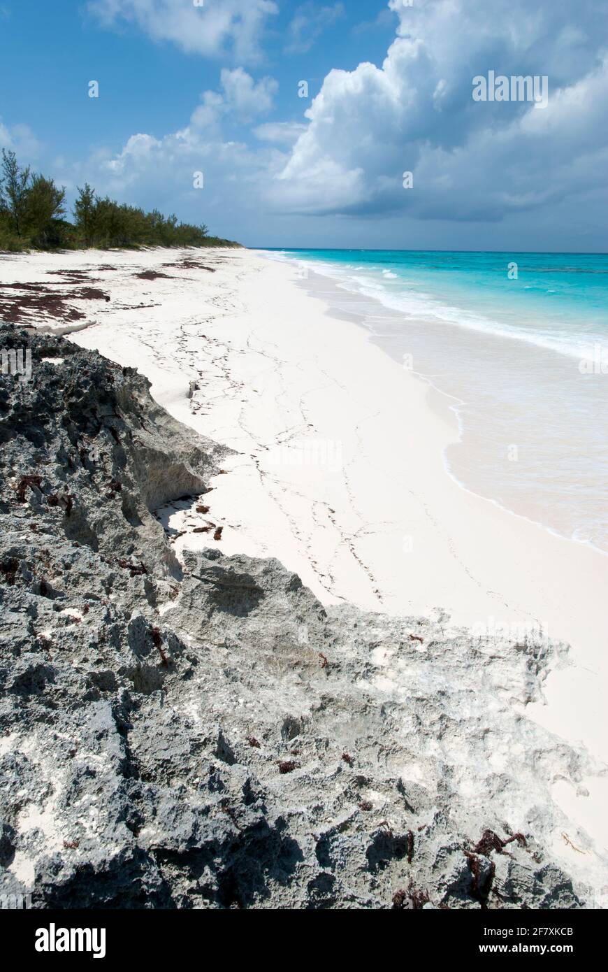 The view of rocky and sandy endless beach on Half Moon Cay uninhabited ...