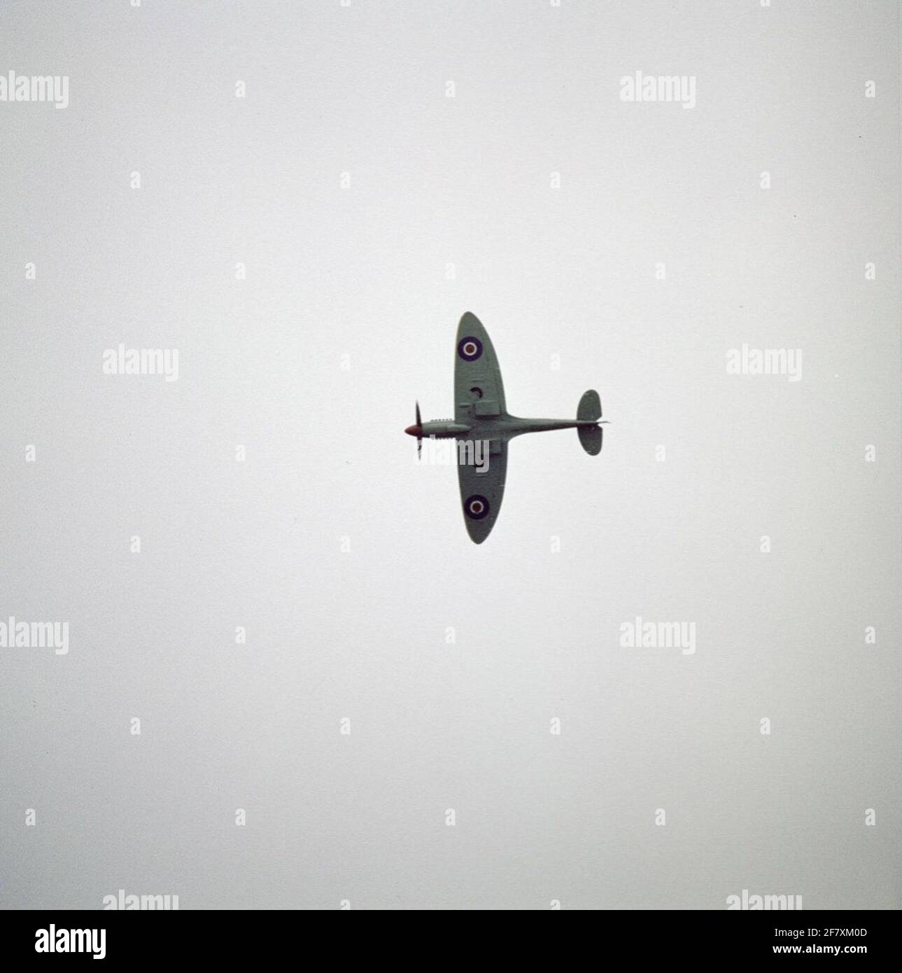 A supermarine Spitfire Mk.19 in flight during the Air Force-Open Day at ...