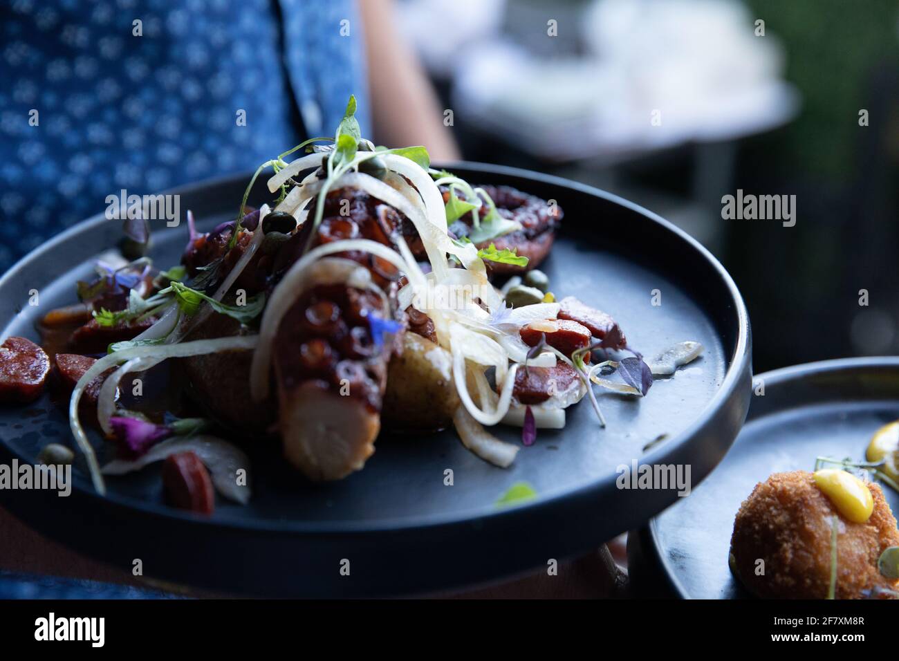 Octopus dish hi-res stock photography and images - Alamy