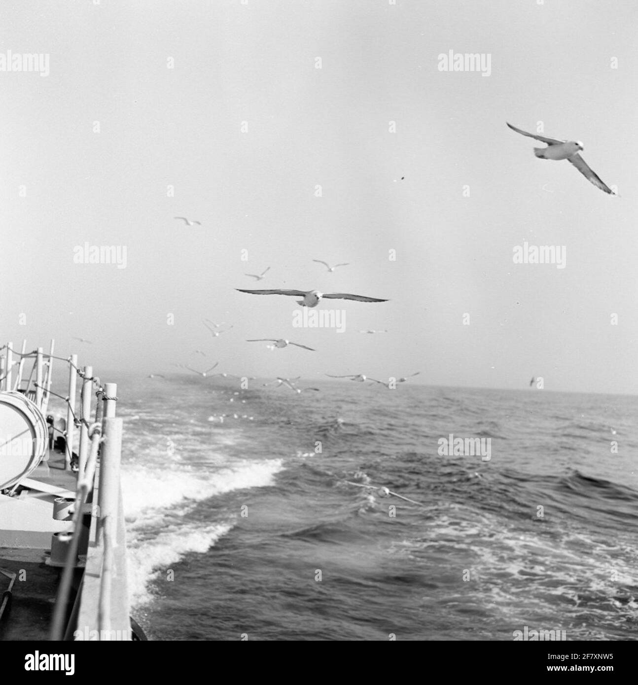 Fishing inspection in the North Sea with the frigate of predator class ...