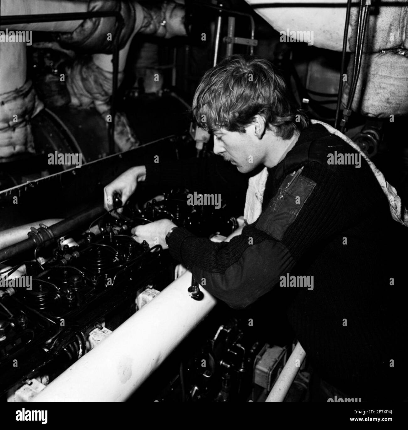 Ms wolf hi-res stock photography and images - Alamy