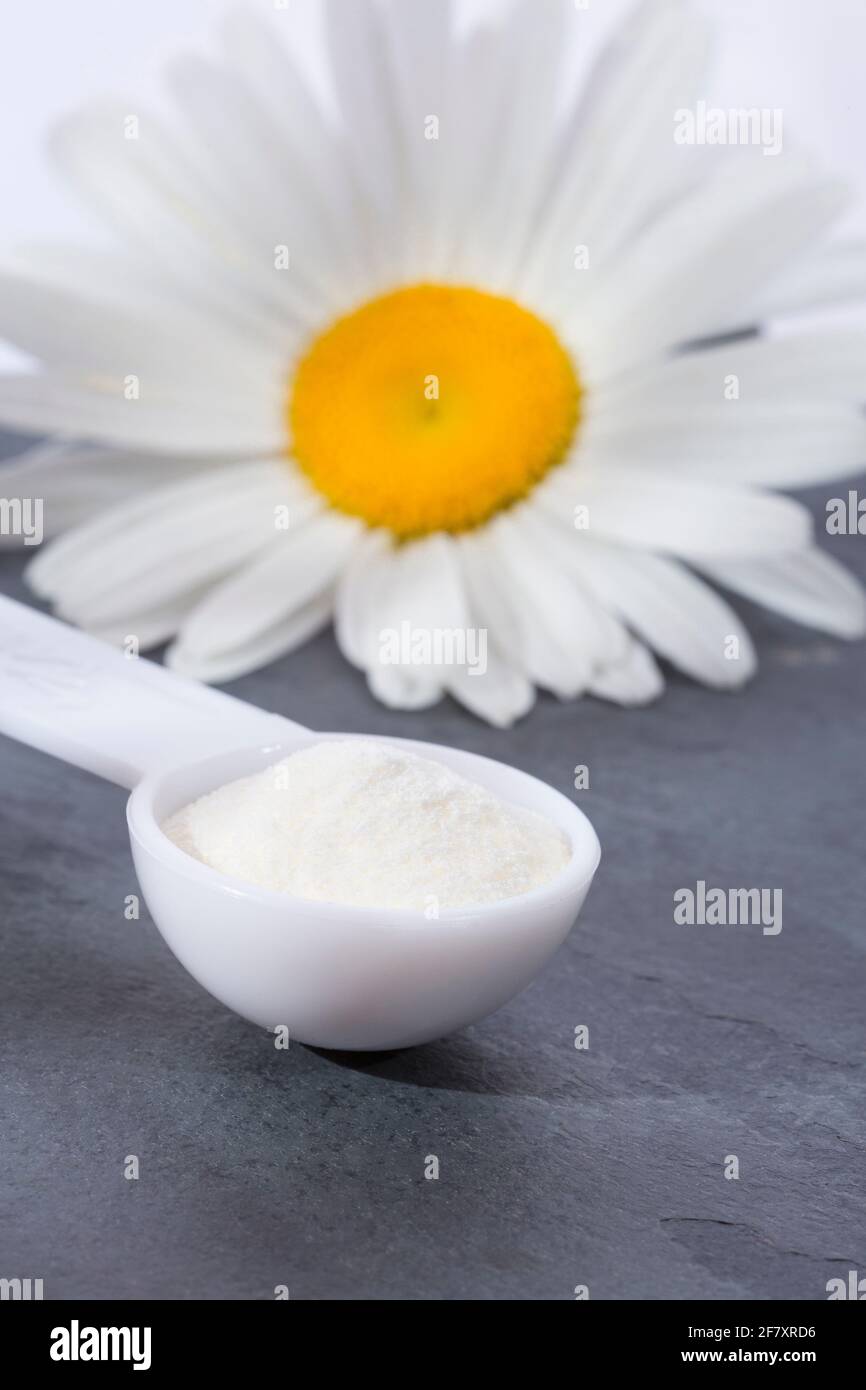 Collagen protein powder in the spoon - Hydrolyzed Stock Photo - Alamy