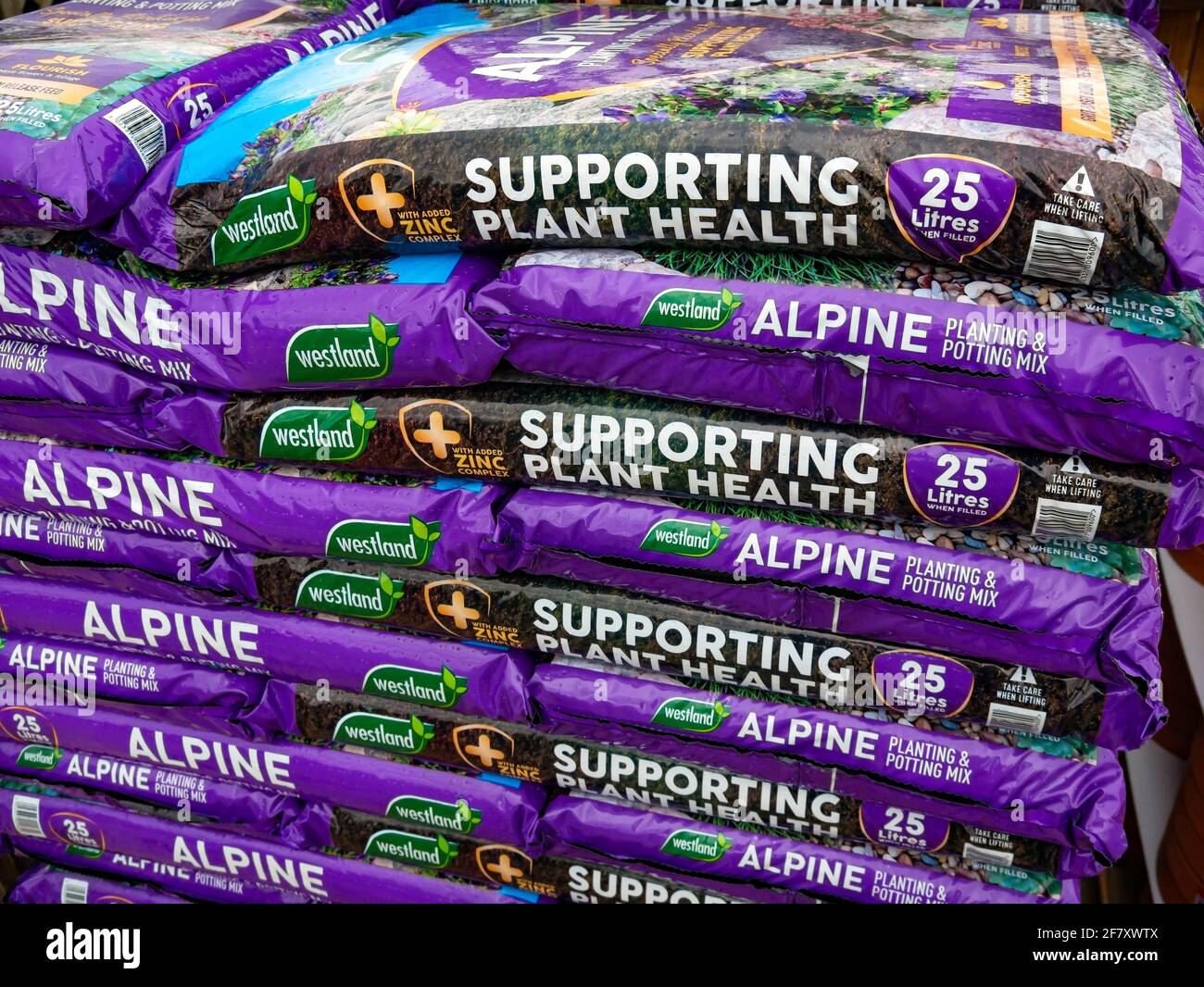 A stack of purple bags of Westland Alpine planting and potting mix in a ...