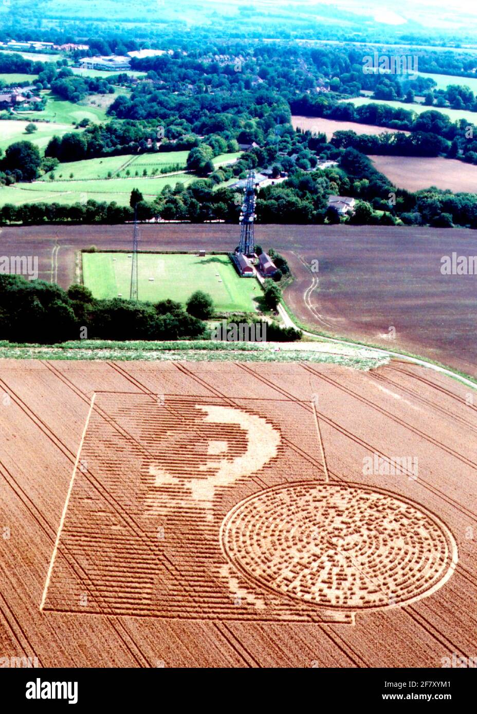 Alien Face Crop Circle